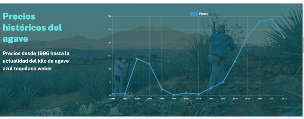 El Precio Del Agave – Blog